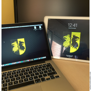 Heraldry in real life – Salmeron Heraldry